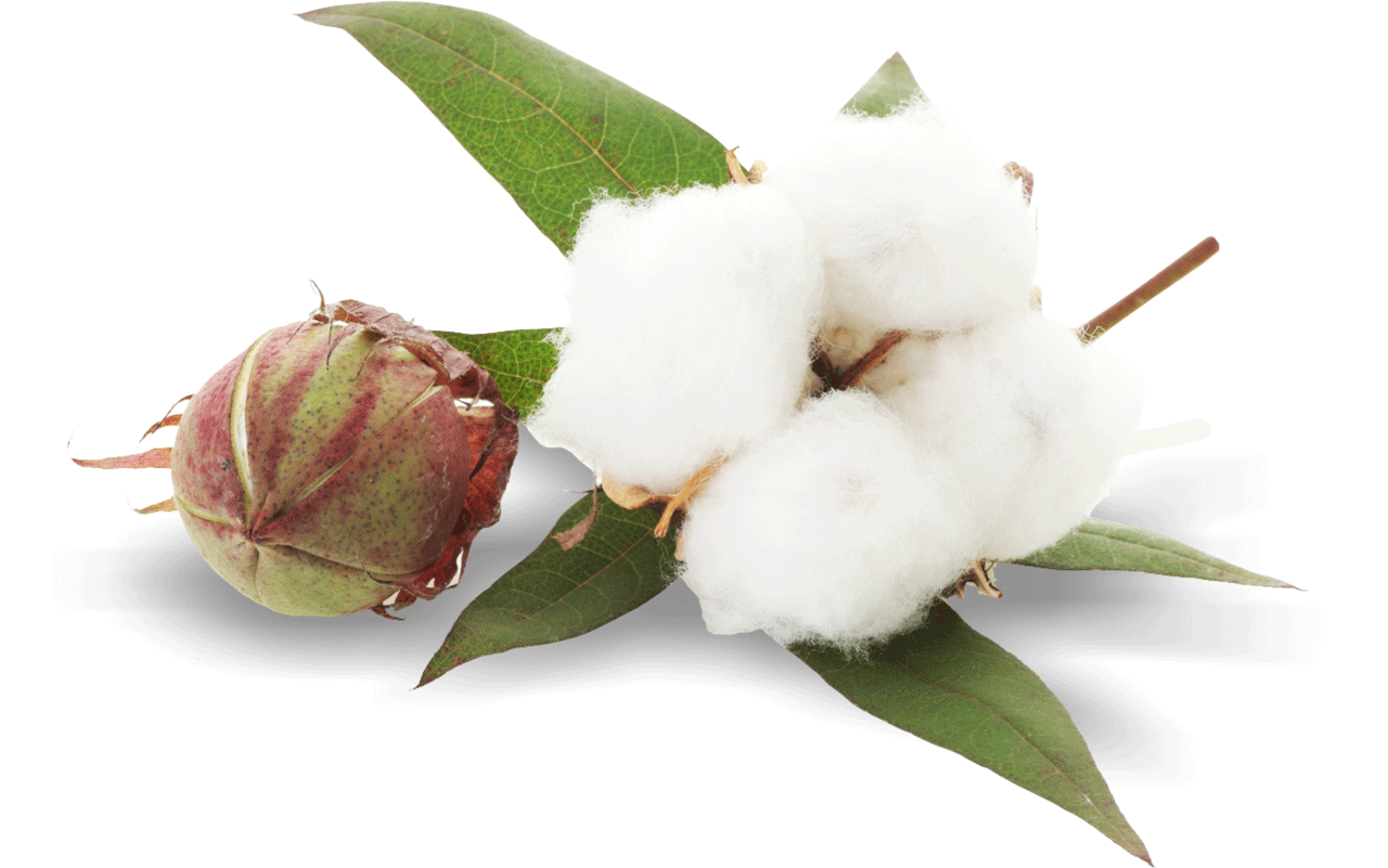 Cotton fertilization guide - Hellagrolip